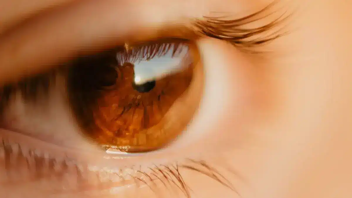 Exploring the Causes and Treatments of Punctate Keratitis